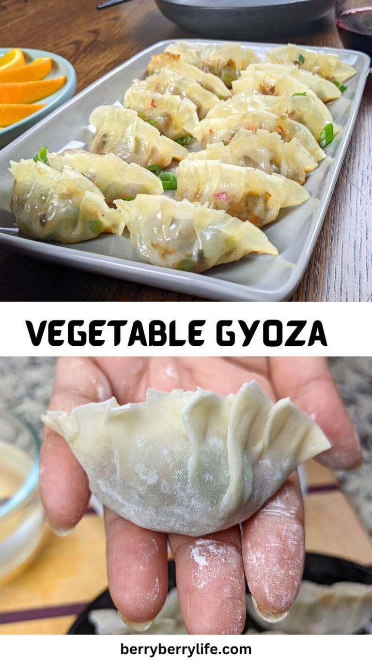 Vegetable Gyoza | Berry Berry Life