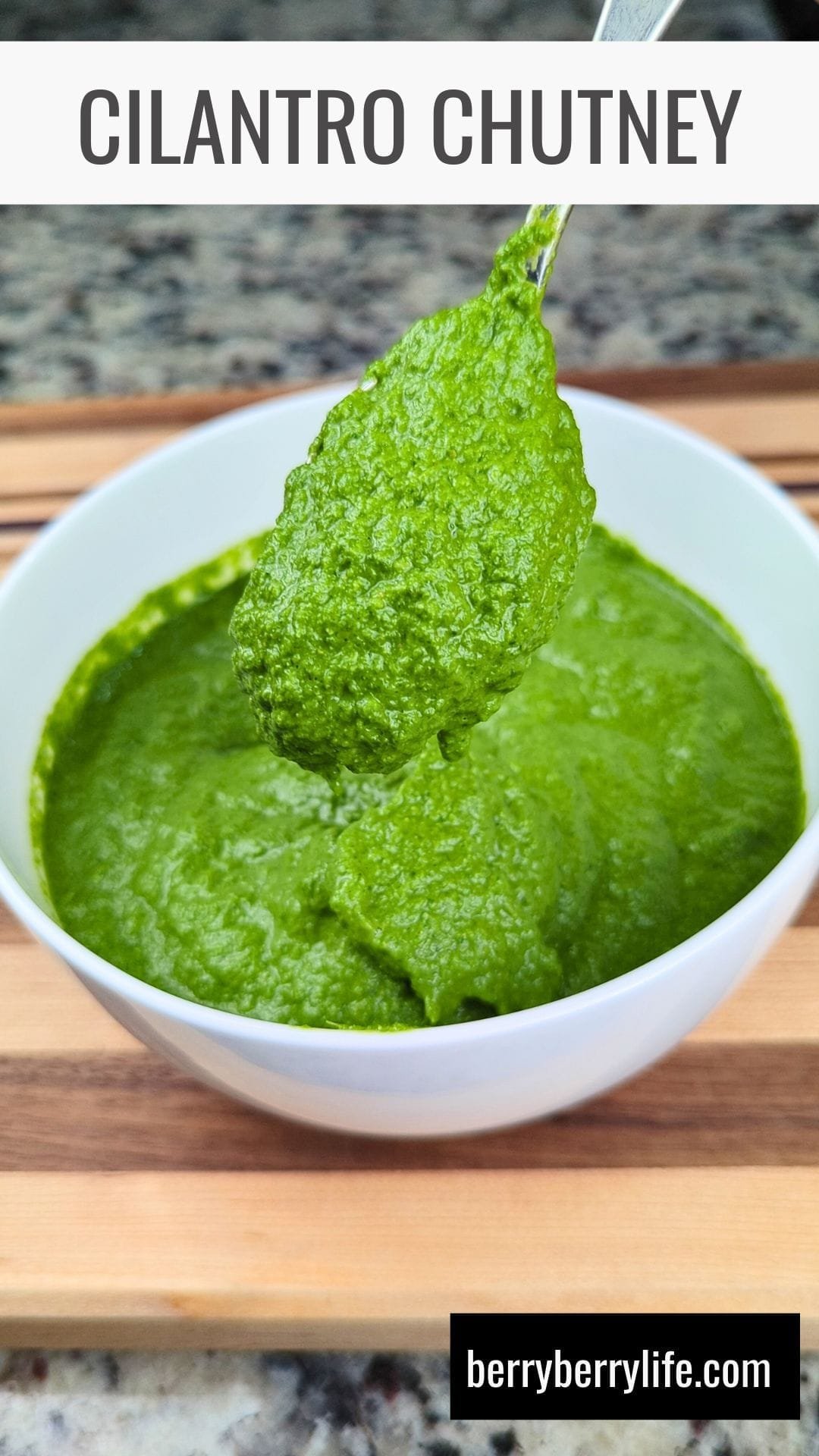 Cilantro Chutney (Coriander Chutney) | Berry Berry Life