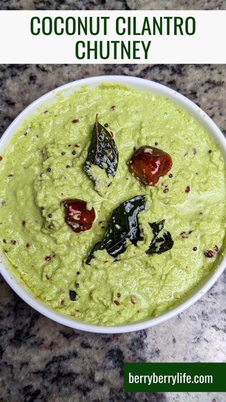 Coconut Cilantro Chutney | Berry Berry Life